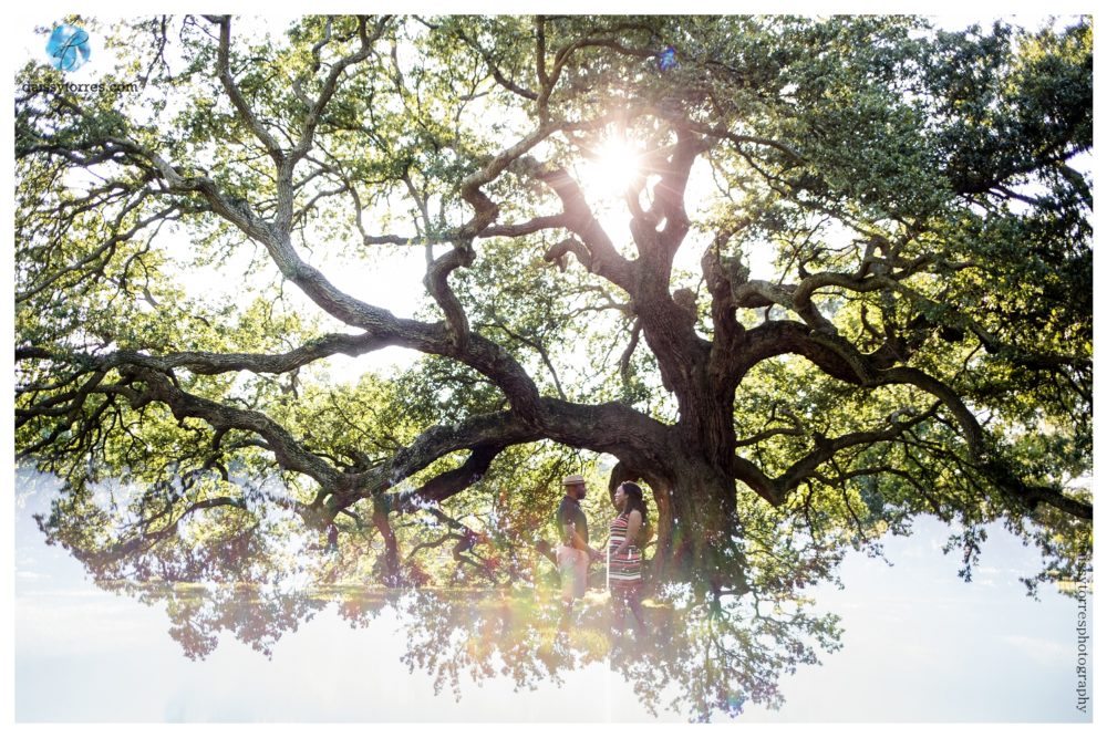 Hampton University Engagement | Jaime + Sean | Emancipation Oak Tree ...